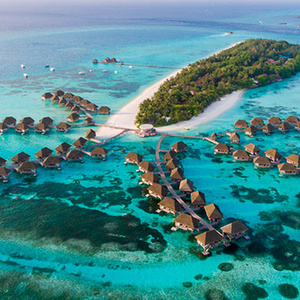 Modelka Lily-af - profilová stránka a informace