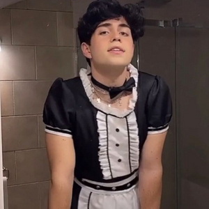 Σελίδα και πληροφορίες του μοντέλου Fabii-Ford